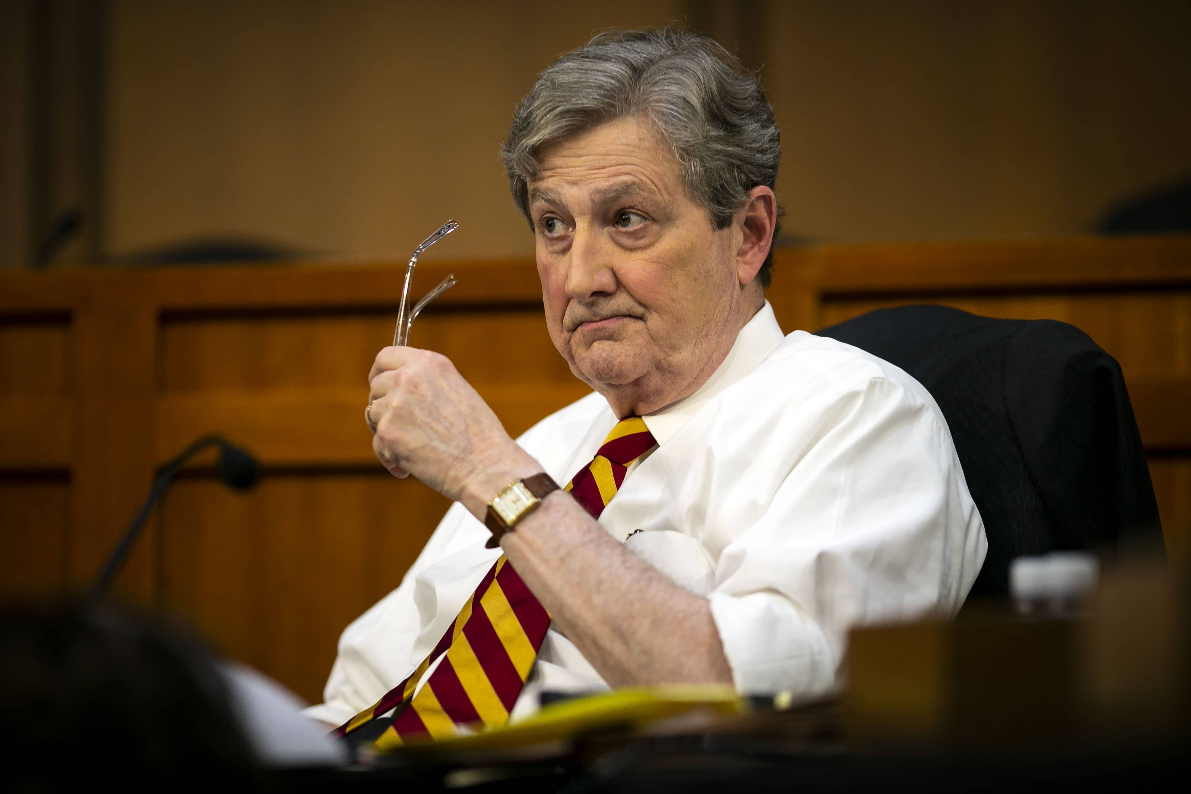 Kennedy Describes Current Democratic Party: "Rabid Barking"