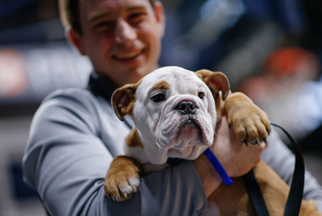 Butler University's Blue Nominated for Mascot Hall of Fame - WIBC 93.1 FM