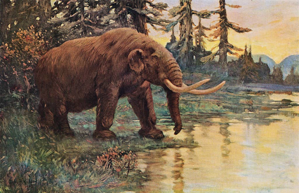 Bill Would Make the Mastodon Indiana's Official State Fossil - WIBC 93.1 FM