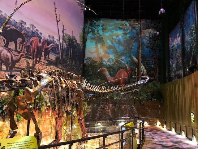 Baptism Into the Dinosaur Story: The Dinosphere Reopens - WIBC 93.1 FM