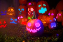 Harvest Nights Coming Back to Newfields