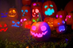 Harvest Nights Coming Back to Newfields