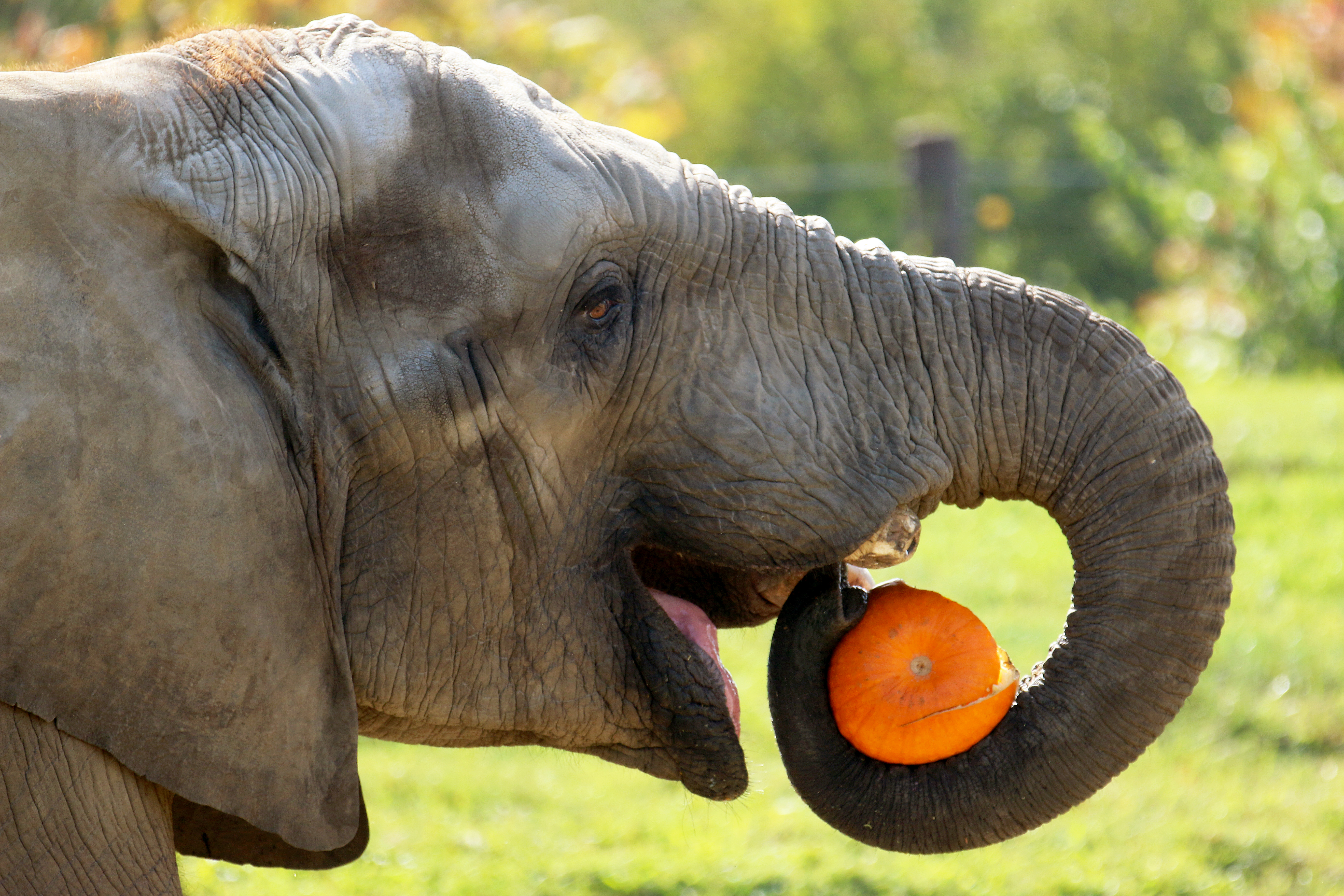 Listen Live - WIBC 93.1 FM