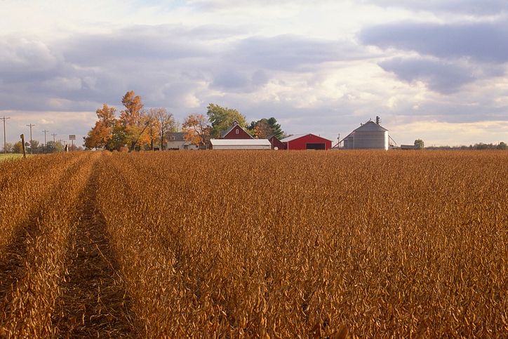 95 Indiana Farms Recognized for Century-Long Work
