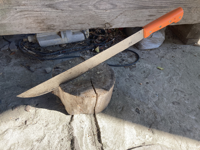 Tony Katz and the Morning News 3rd Hr 12/5/24: Machete Wielding Indy ...