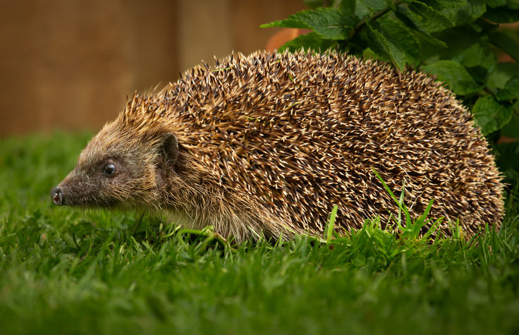 Tony Katz and the Morning News 3rd Hr 2/13/25: Tara Hastings Laughs at ...