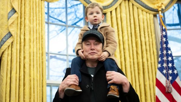Elon Musk's Family Tree