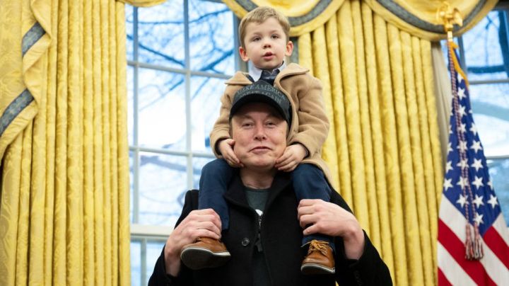 Elon Musk's Family Tree