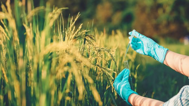 10 Facts About Forrest Lucas, The Hoosier-Born Founder Of...