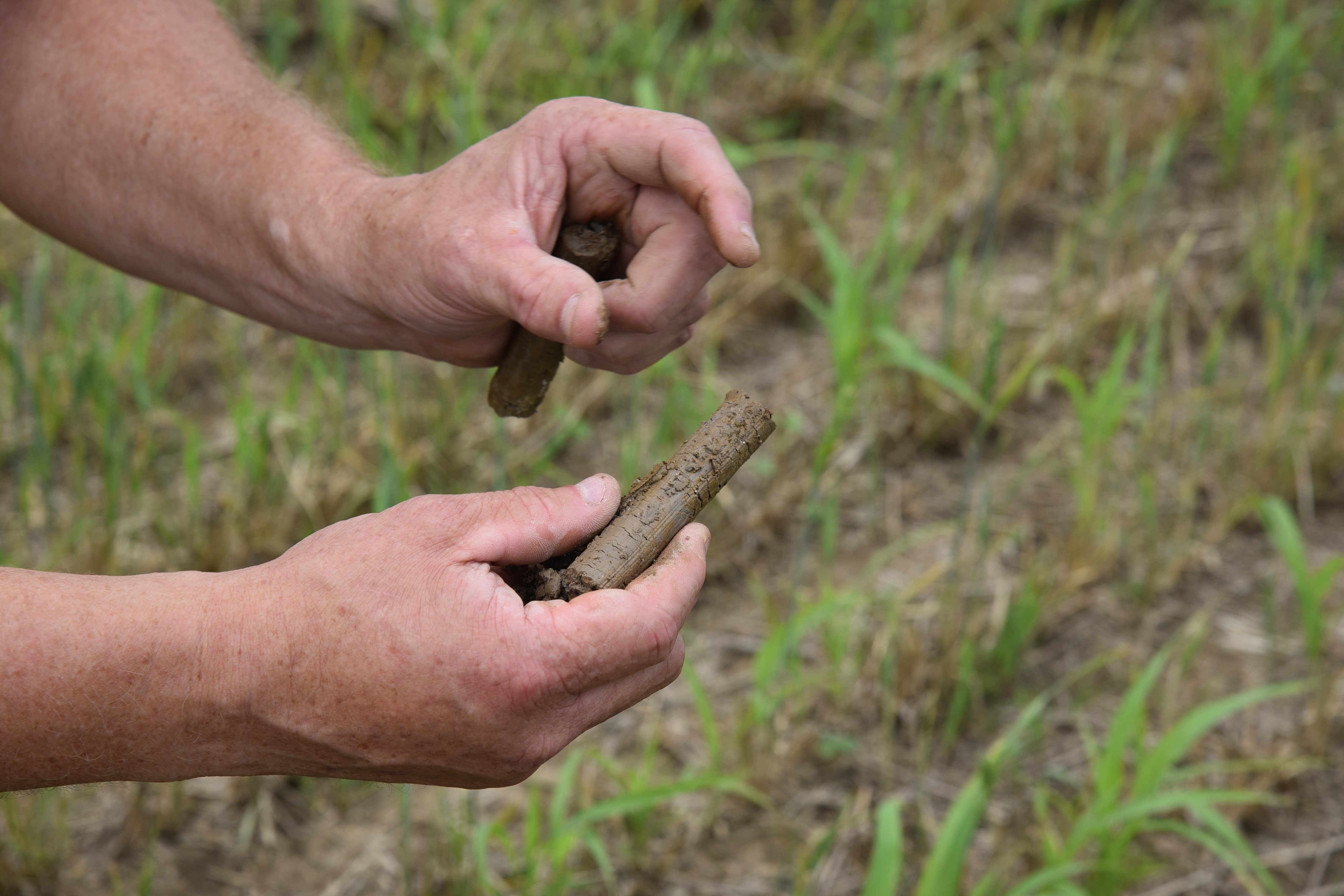 Indiana Offers Free Soil Testing for Farmers