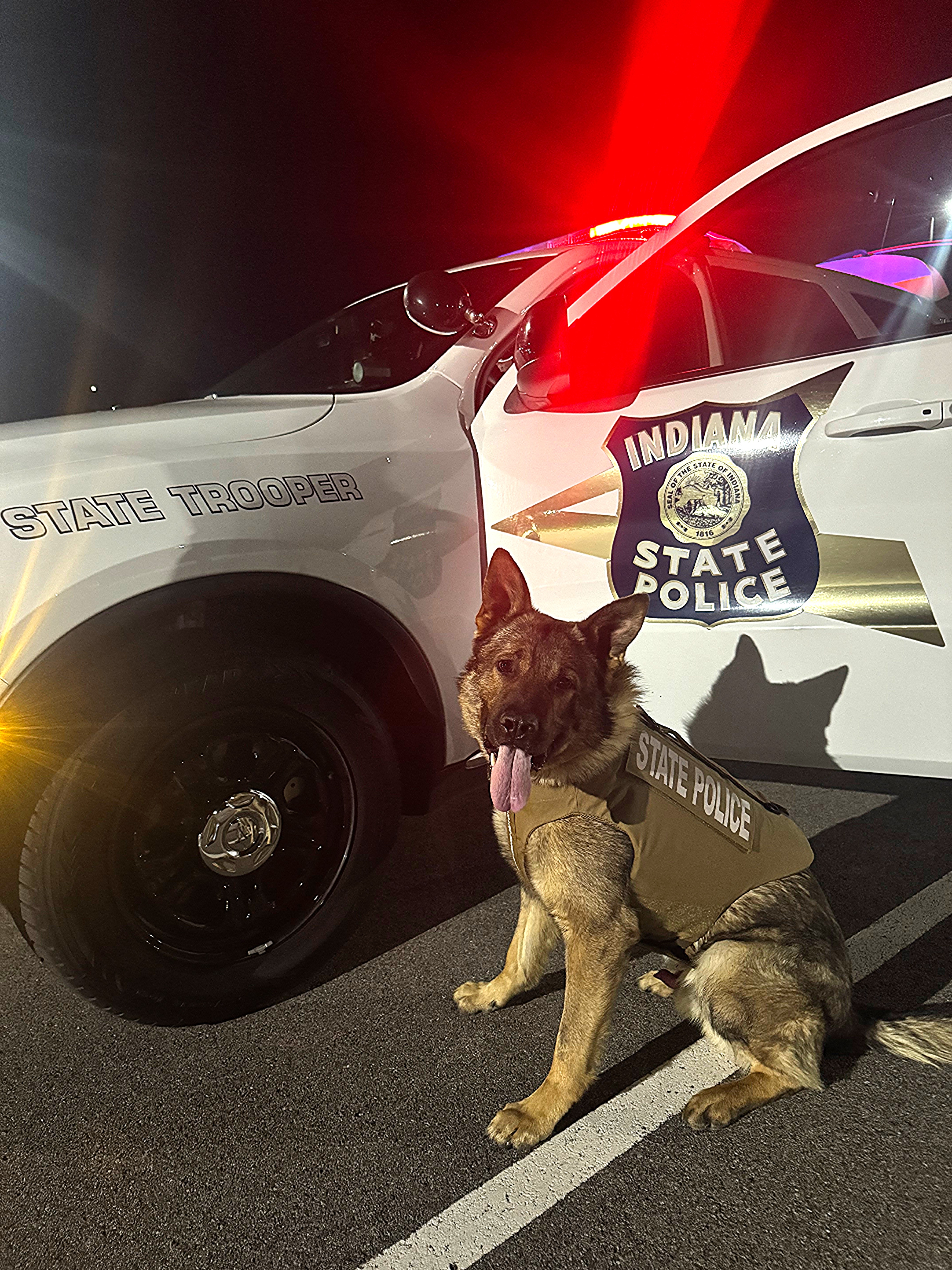 Enzo the Police Dog Gets a Special Safety Gift
