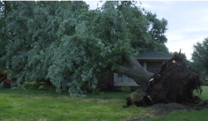 Strong Storms Cause Damage Across Indiana